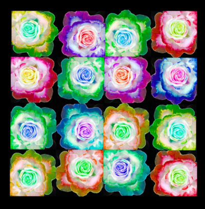 Rose Collage – Sandra Colson Art